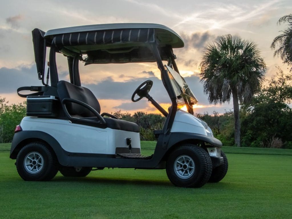 How Much is a Golf Cart? A Guide to Golf Cart Costs [2024] - XN Sports